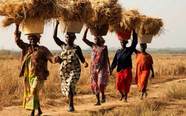 Civil Society Organisations of the PDSA Programme receive training on ...