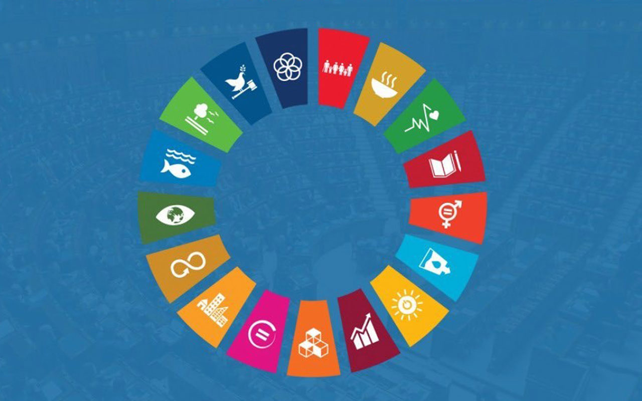 ELSA Portugal e IMVF organizam o webinar “Leave No One Behind: Best ...