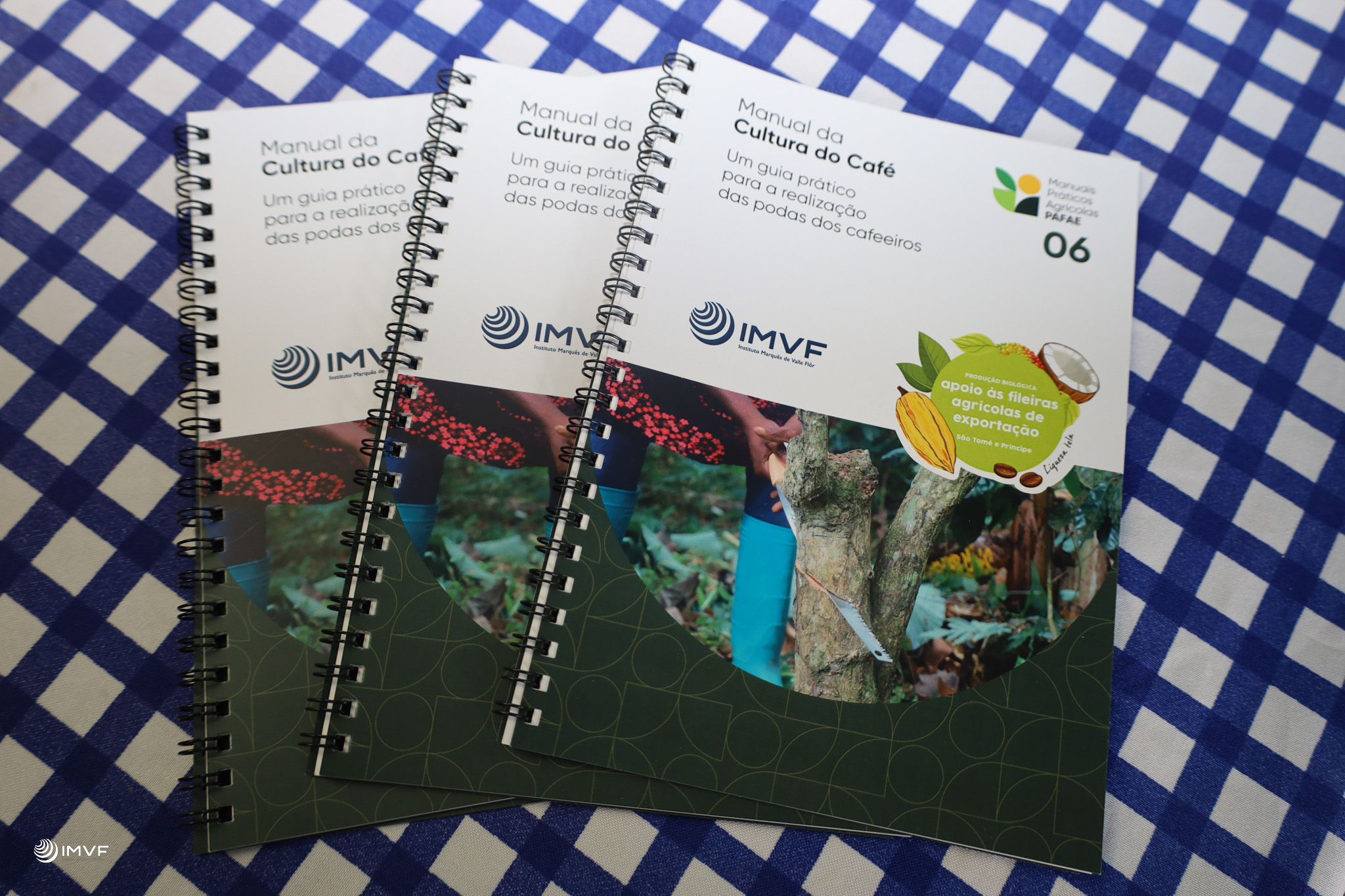 PAFAE promove sessões de divulgação dos manuais e vídeos formativos ...