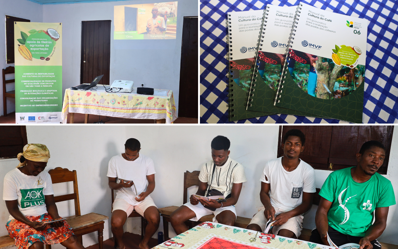 PAFAE promove sessões de divulgação dos manuais e vídeos formativos ...