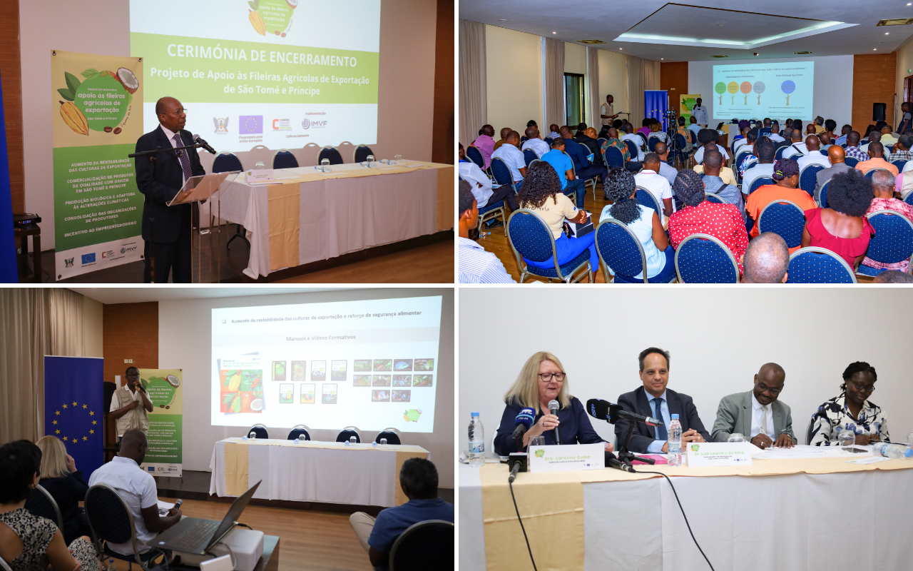 PAFAE - Celebração unânime dos resultados alcançados e olhos postos no ...