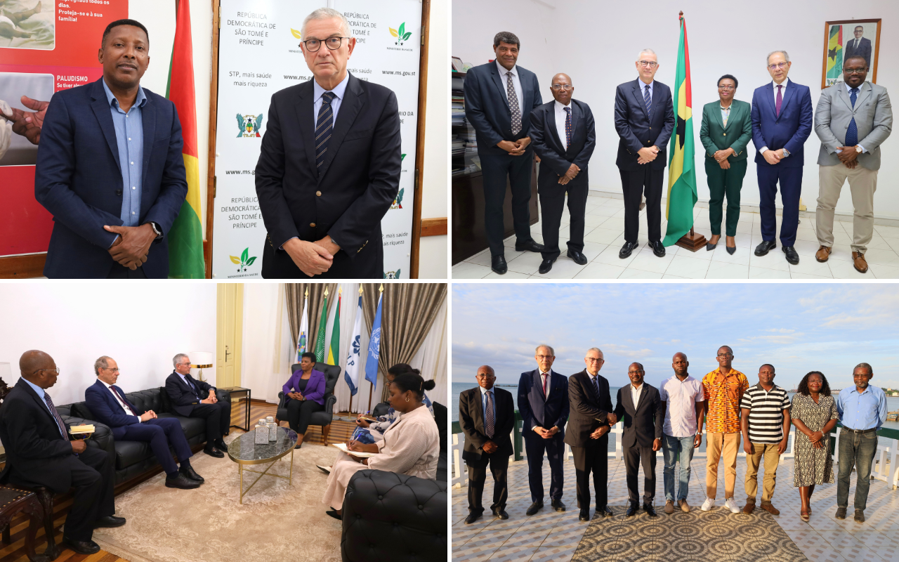 Presidente do IMVF realiza missão a São Tomé e Príncipe para ...